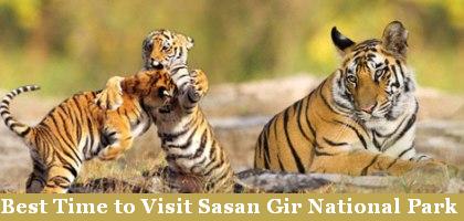 Best Time to Visit Gir Forest National Park - Sasan Gir Wildlife ...